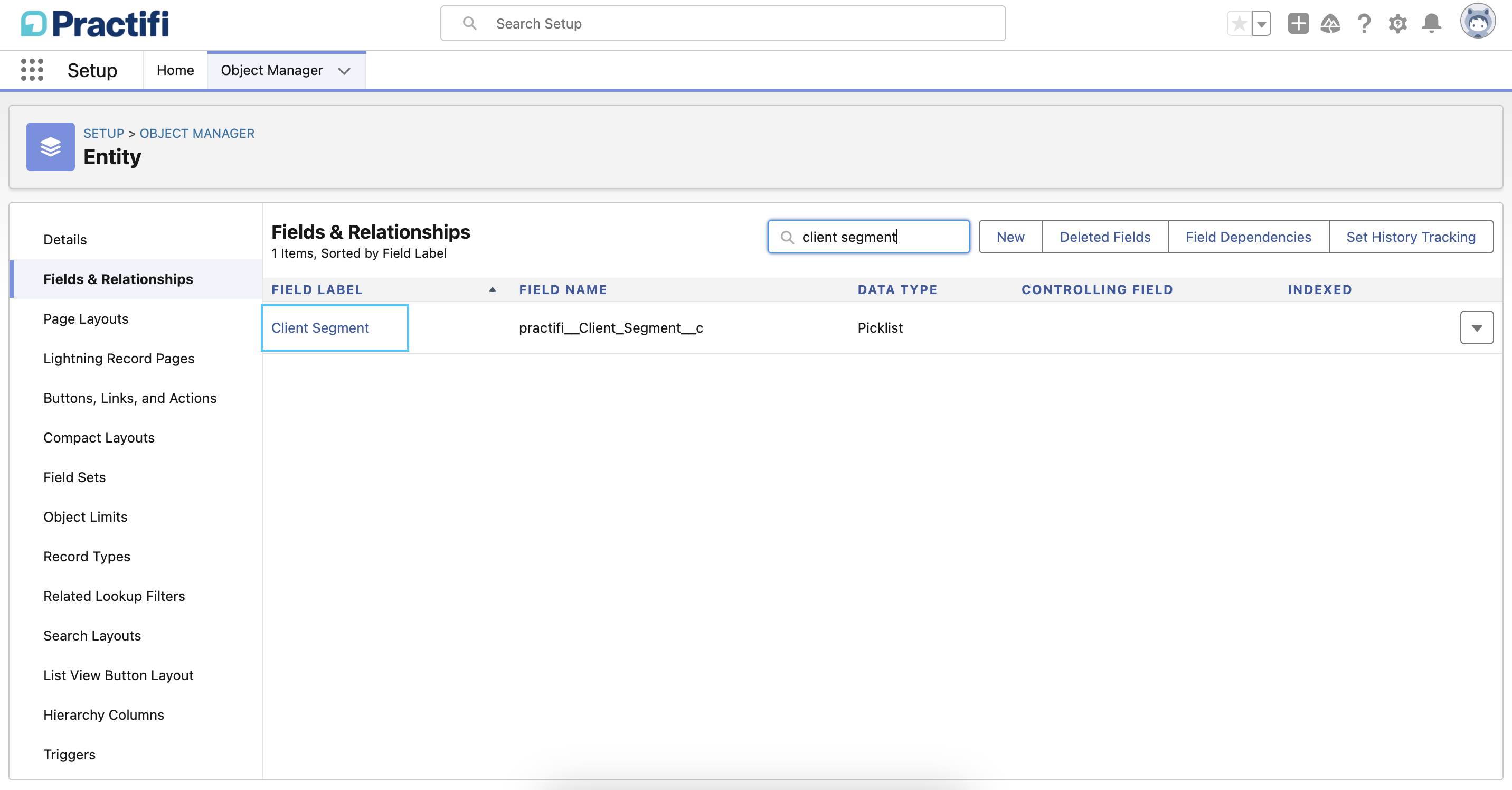 Understanding and Using Client Segments – Practifi Success